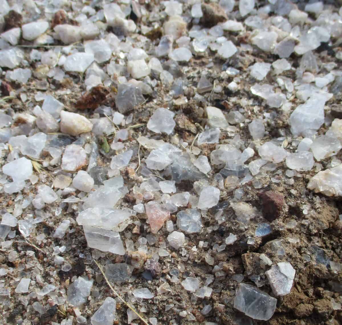 Sierra County Rock & Gem Society